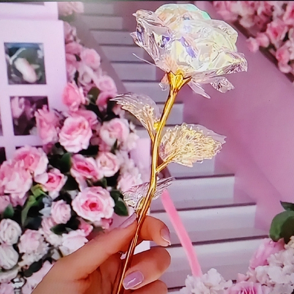 Other | Rainbow Iridescent Rose With Golden Stem Single Rose Golden ...
